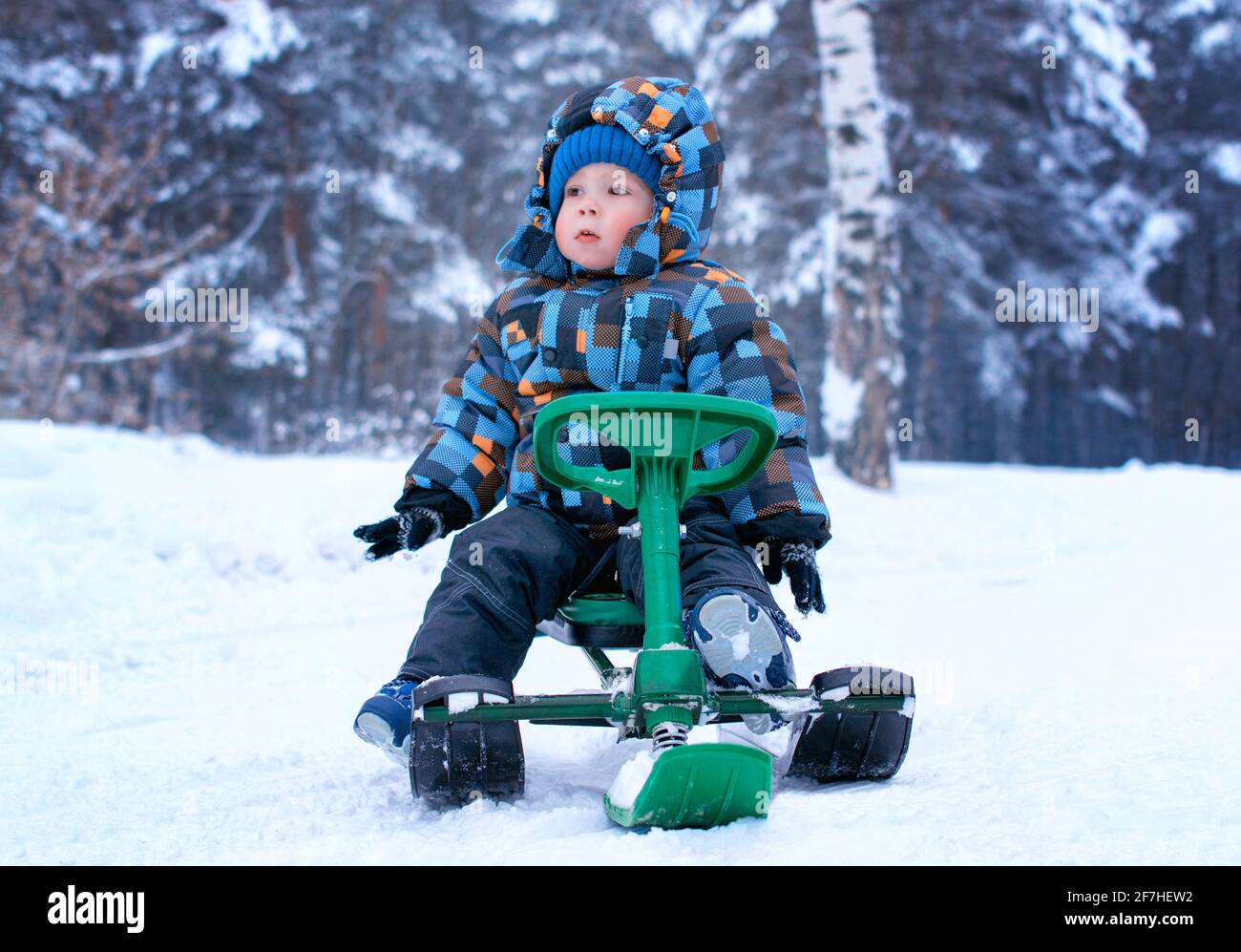 boy in winter in the woods on a background of trees Stock Photo - Alamy