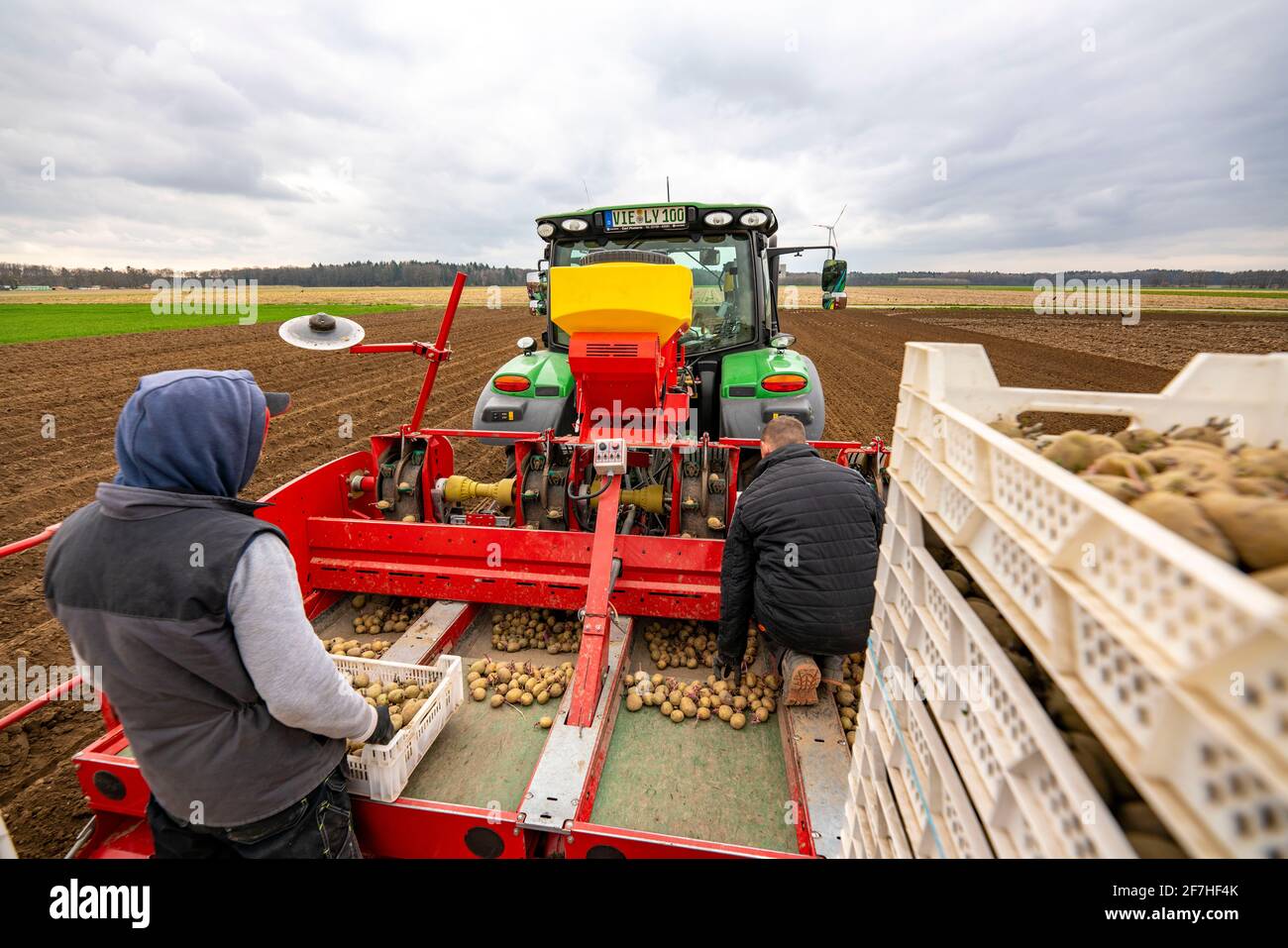 Early potatoes hi-res stock photography and images - Alamy