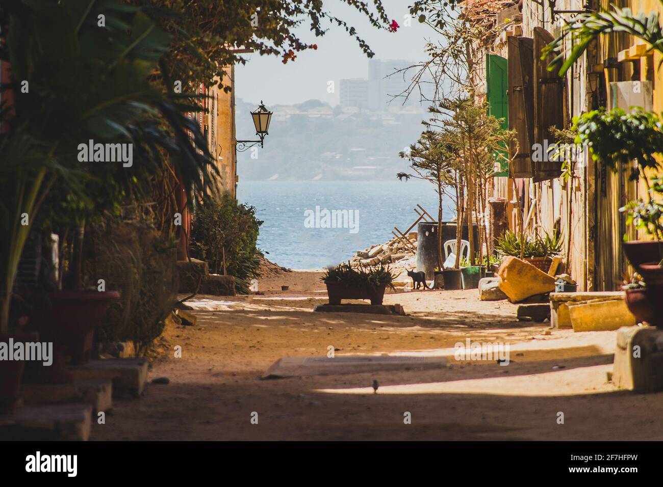 A view from one of the streets on Ille de Goree towards the city of ...