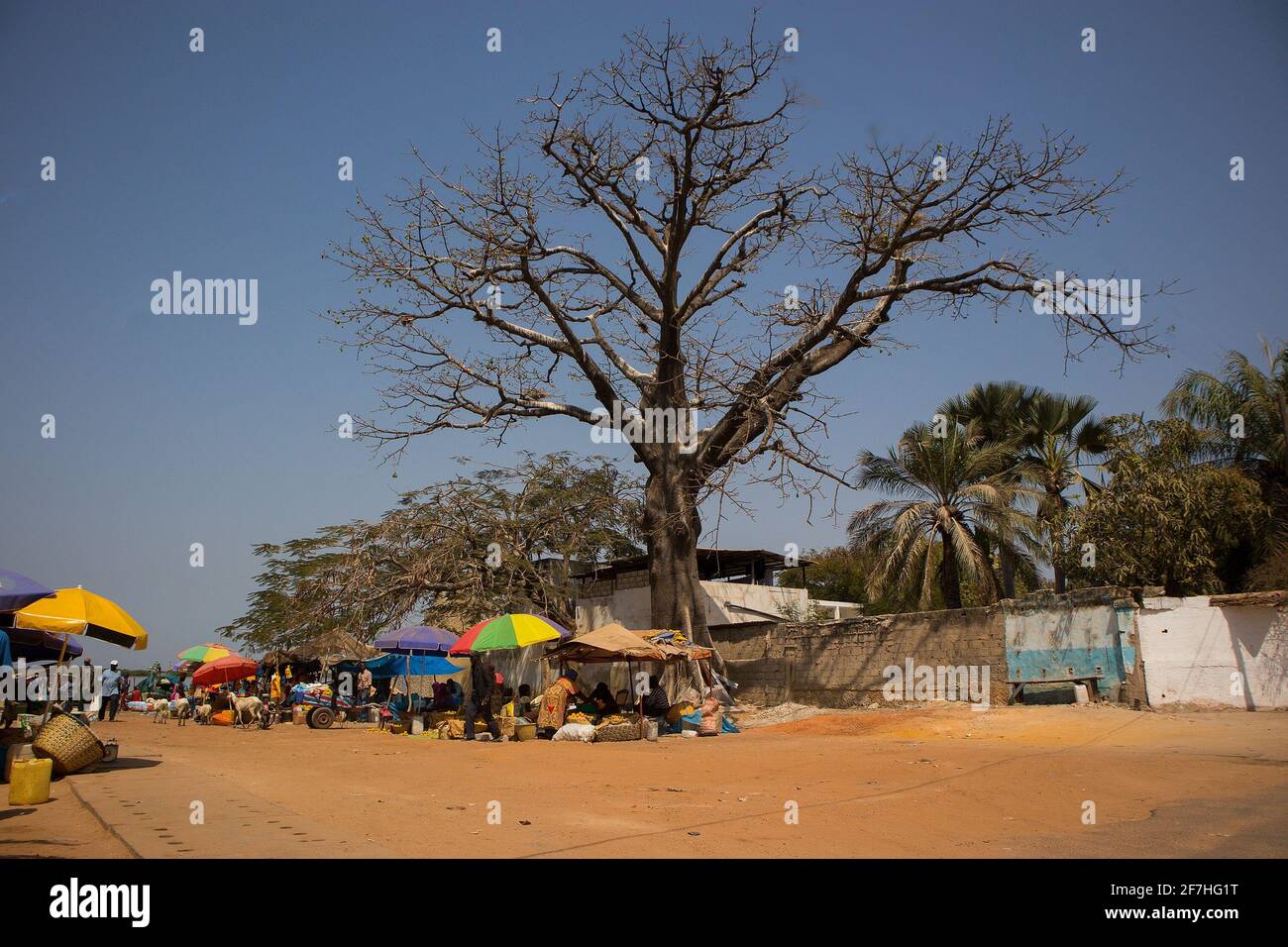 Rural village in senegal hi-res stock photography and images - Alamy