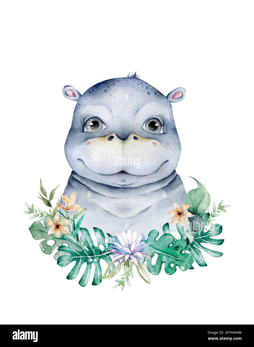 Cartoon Hippo Face High Resolution Stock Photography and Images - Alamy