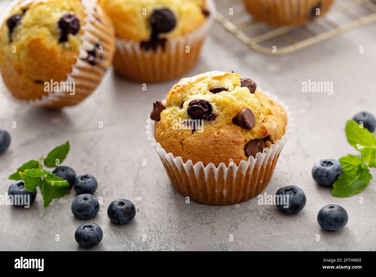 Chocolate chip and blueberry muffin freshly baked Stock Photo - Alamy