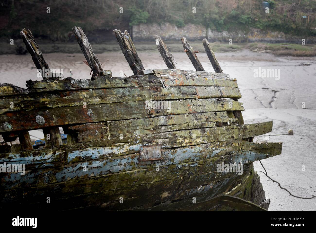 An old beached wooden boat falling apart and decaying at low tide Stock ...