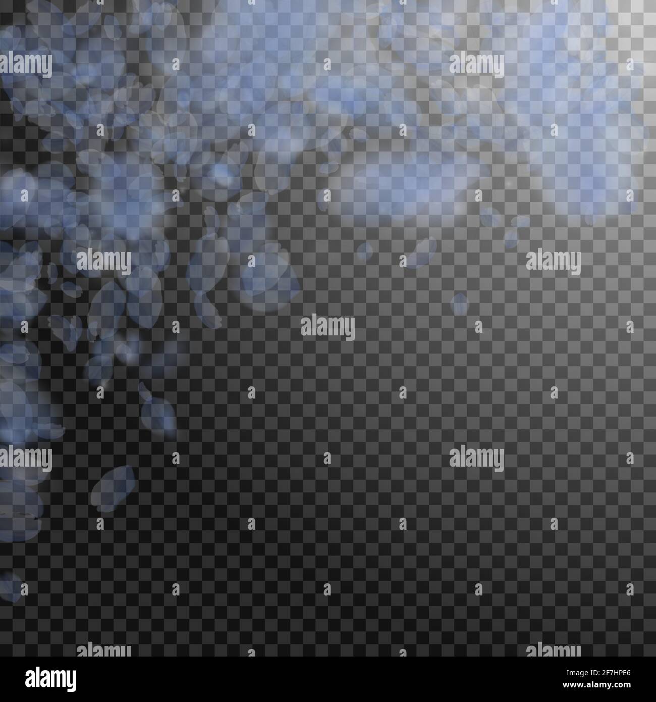 Light blue flower petals falling down. Admirable romantic flowers ...