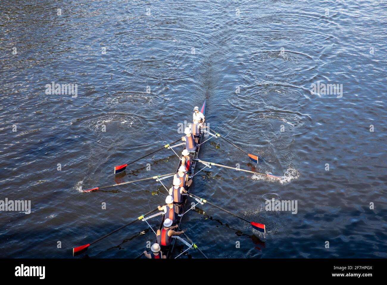 Yarra River Melbourne mens rowing team training and rowing along the ...
