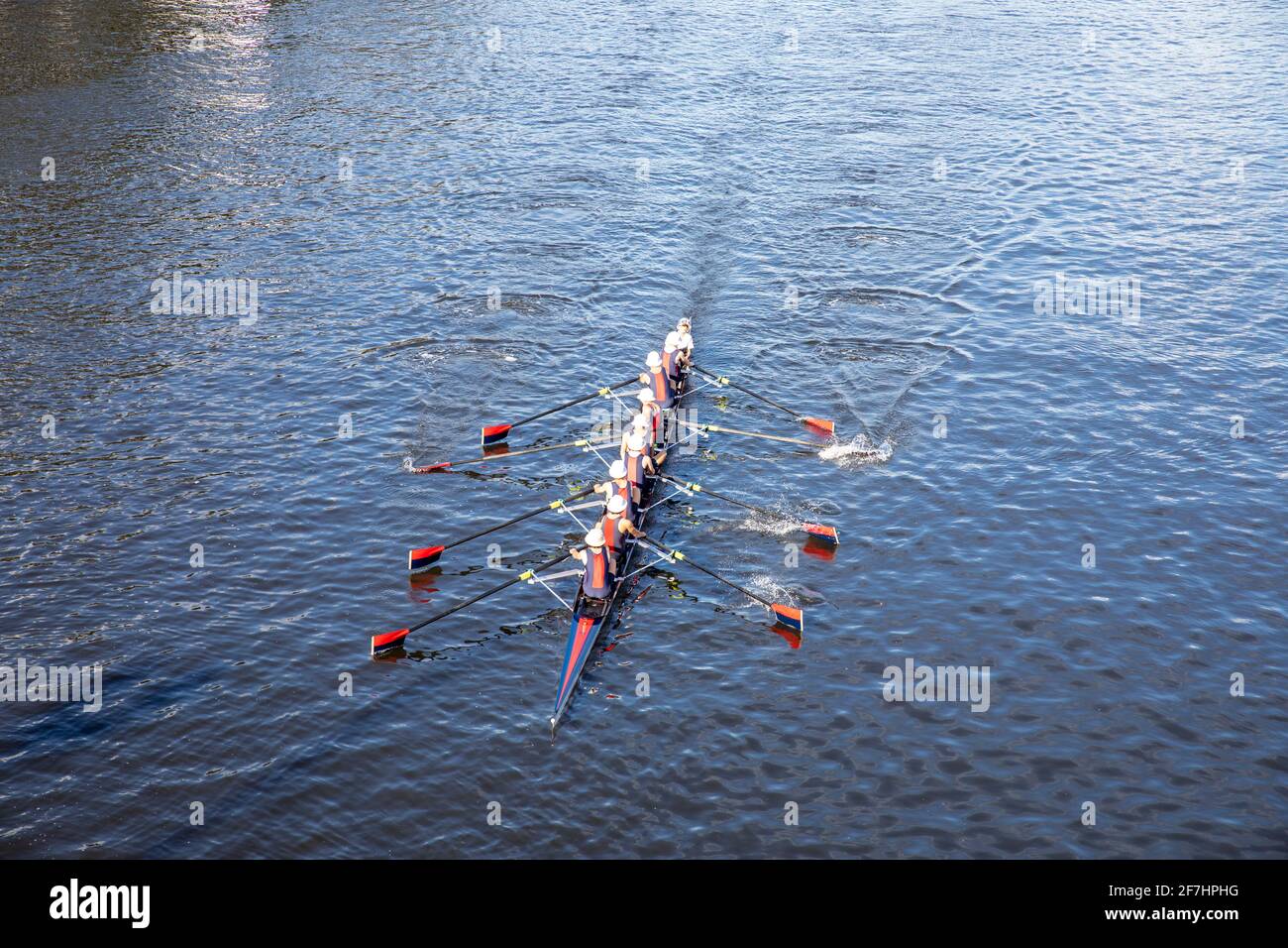 Yarra River Melbourne mens rowing team training and rowing along the ...