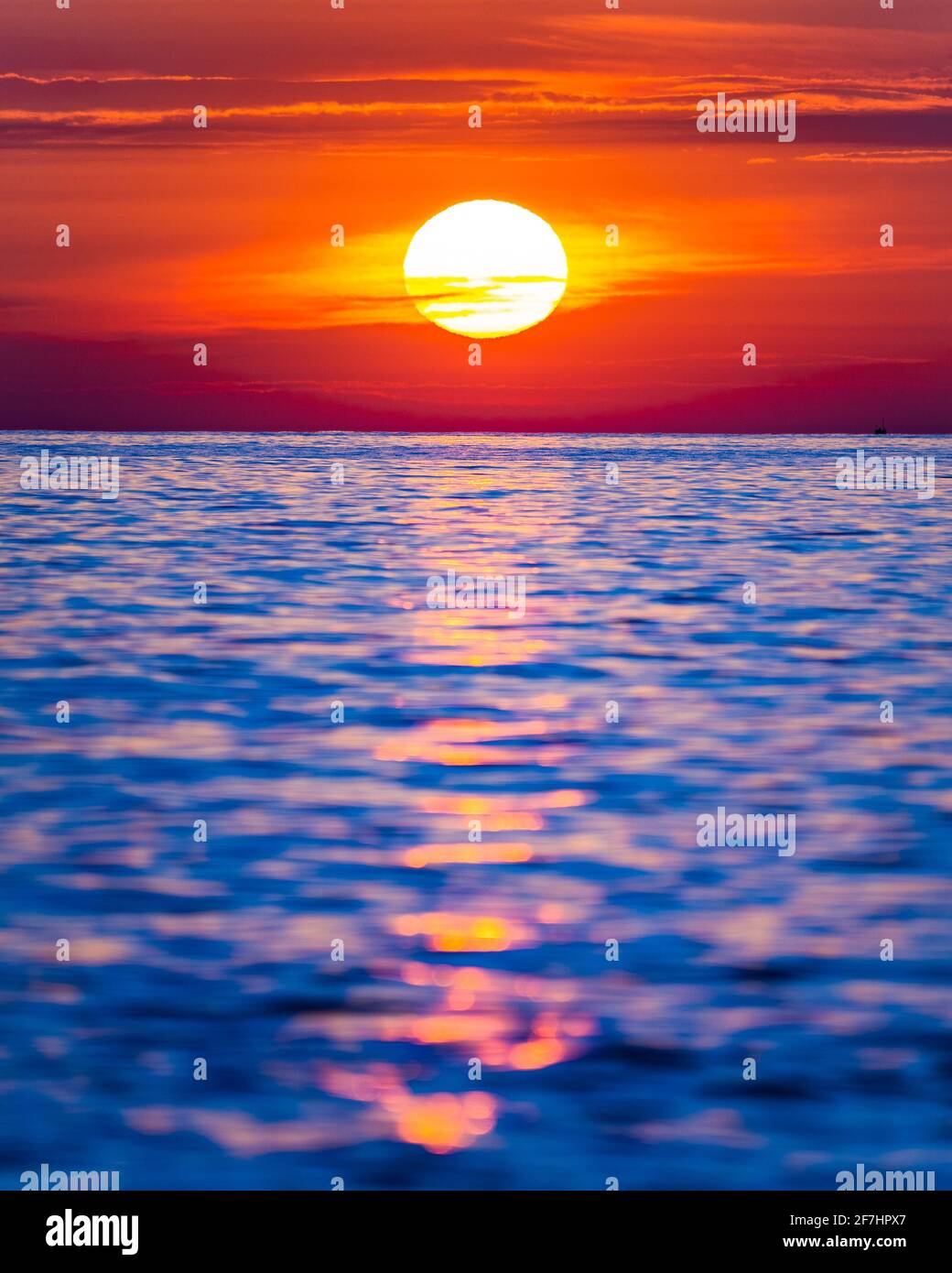 Under the sea surface hi-res stock photography and images - Alamy