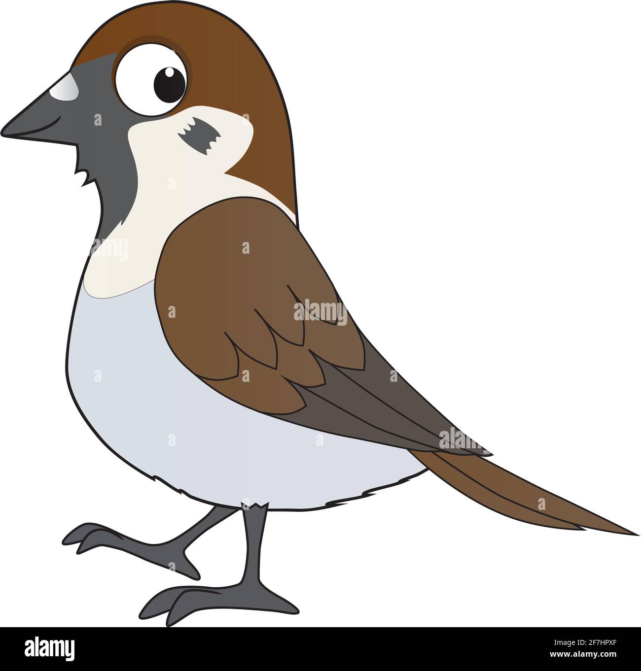 Cartoon illustration of a Java sparrow Stock Photo - Alamy