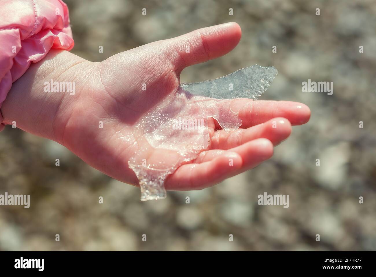 Children hands holding a piece of transparent ice Stock Photo - Alamy