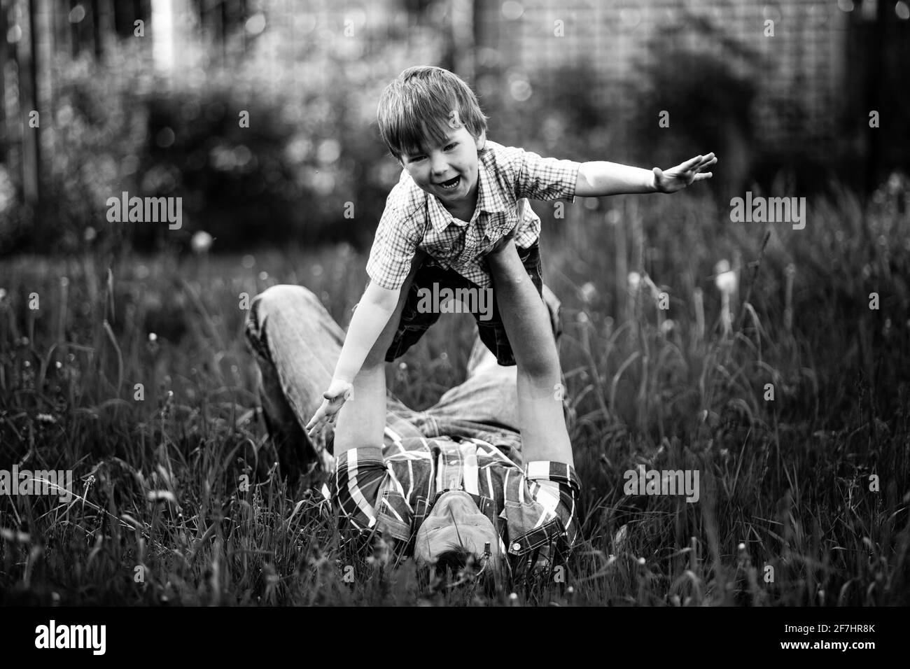 Daddy grass hi-res stock photography and images - Alamy