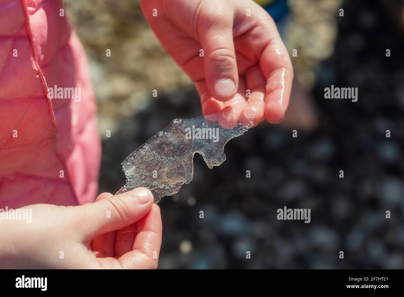 Children hands holding a piece of transparent ice Stock Photo - Alamy