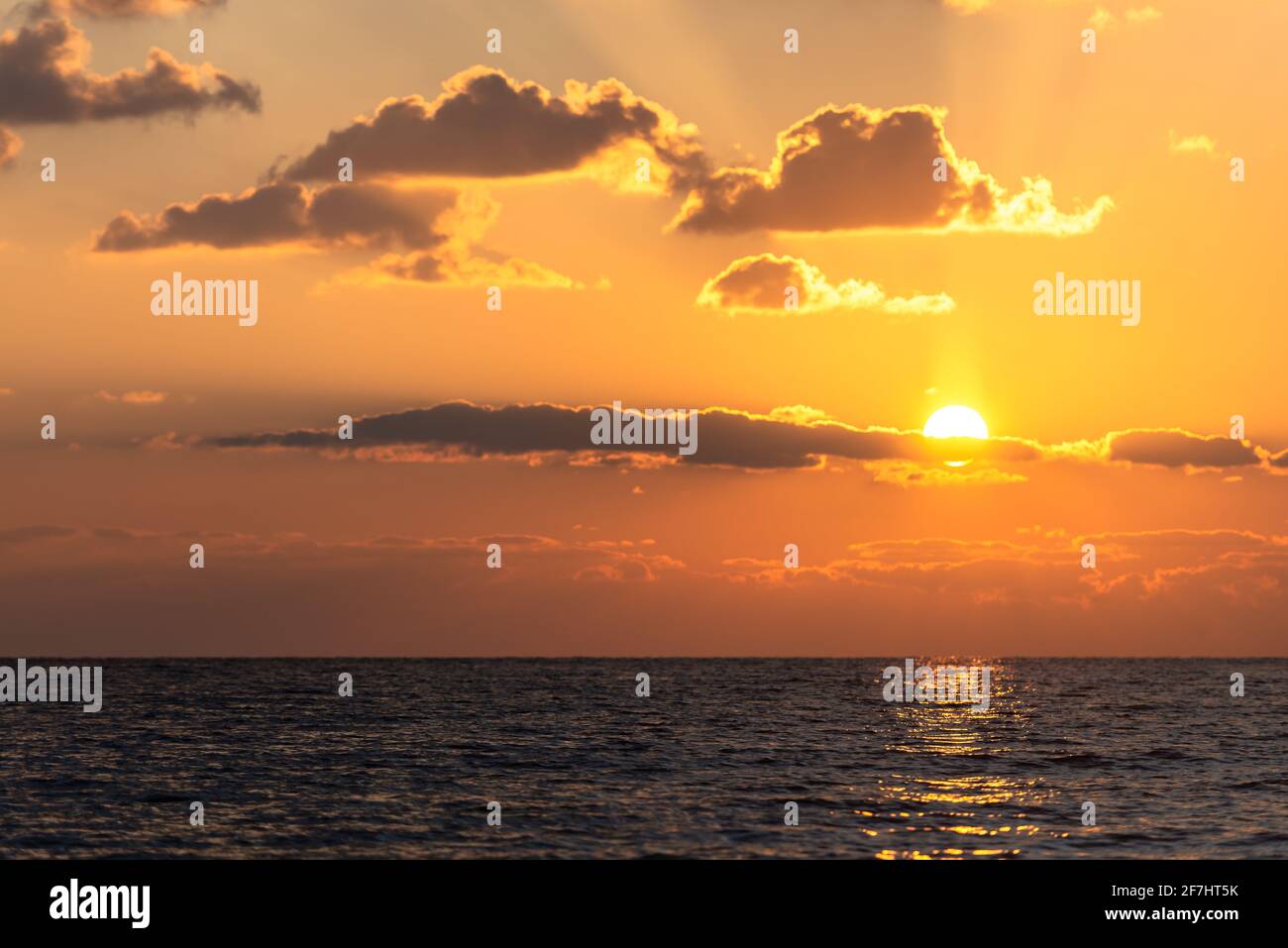 Spring sunshine in cyprus hi-res stock photography and images - Alamy
