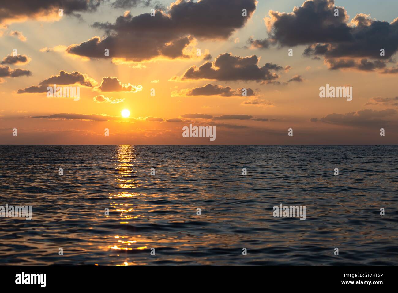 Spring sunshine in cyprus hi-res stock photography and images - Alamy
