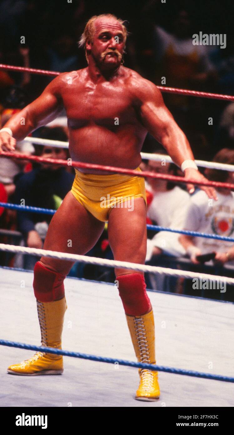 Hulk hogan 1988 hi-res stock photography and images - Alamy