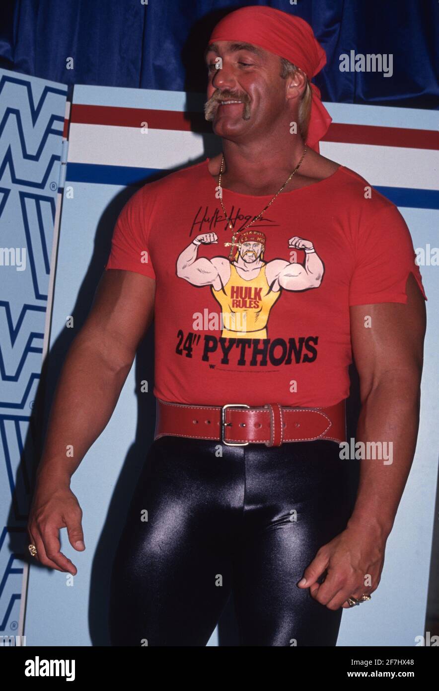 Hulk hogan 1990 hi-res stock photography and images - Alamy