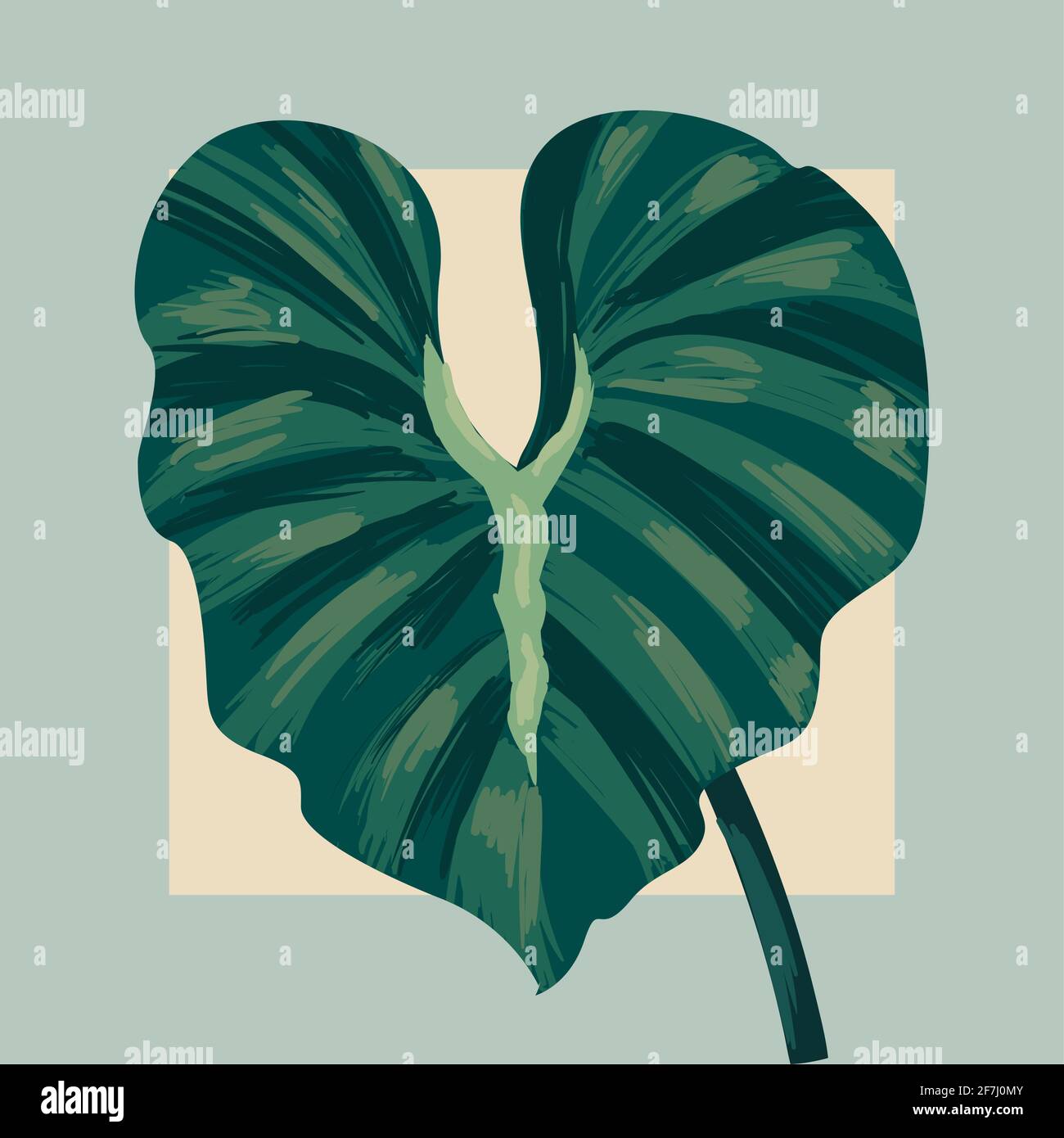 natural and plant leaf frame Stock Vector Image & Art - Alamy