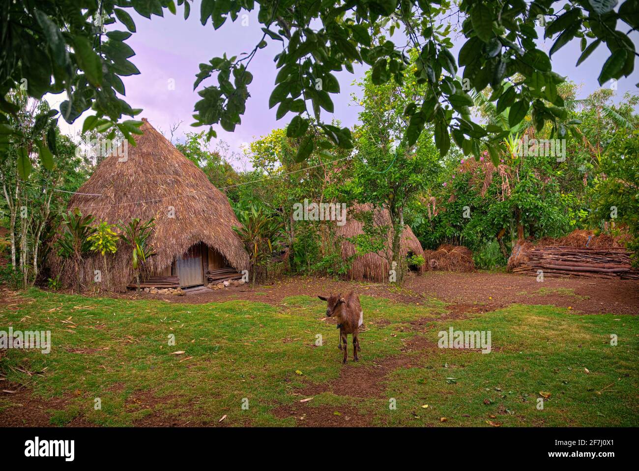 Other homestay at Lopo Mutis Taken @Fatumnasi, Timor, Nusa Tenggara ...