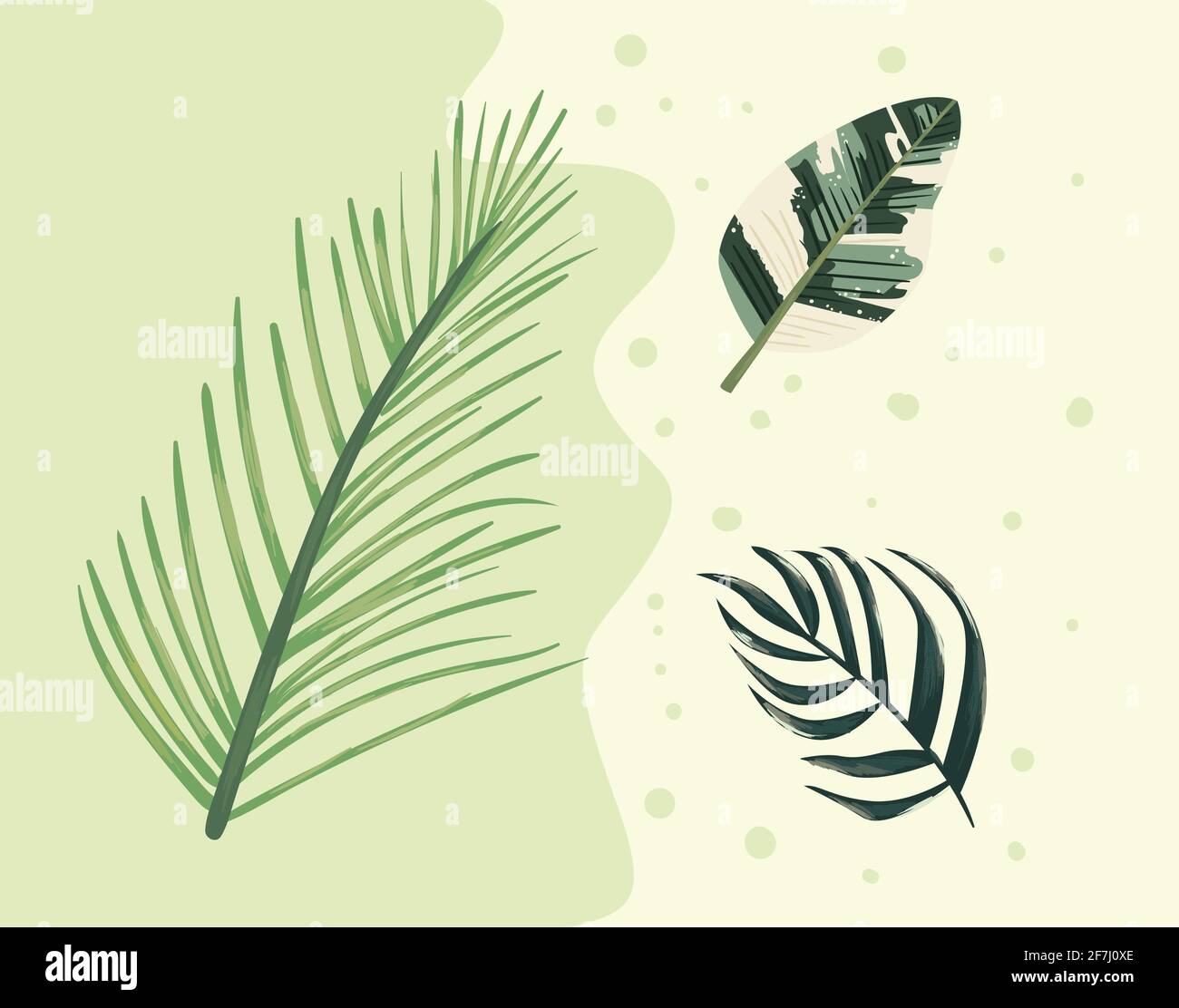 natural plant leaves symbol collection Stock Vector Image & Art - Alamy