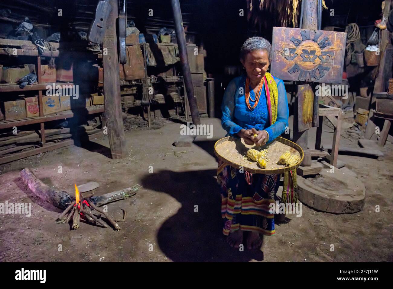 Take corn out Taken @Fatumnasi, Timor, Nusa Tenggara Timur Stock Photo ...