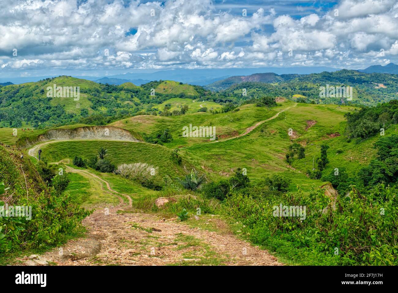 The path for Tamkesi Traditional House of Timor Tengah Utara Taken ...