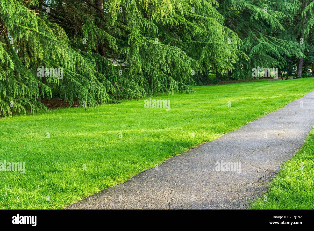 Beautiful park with pathway spring rainy day Stock Photo - Alamy