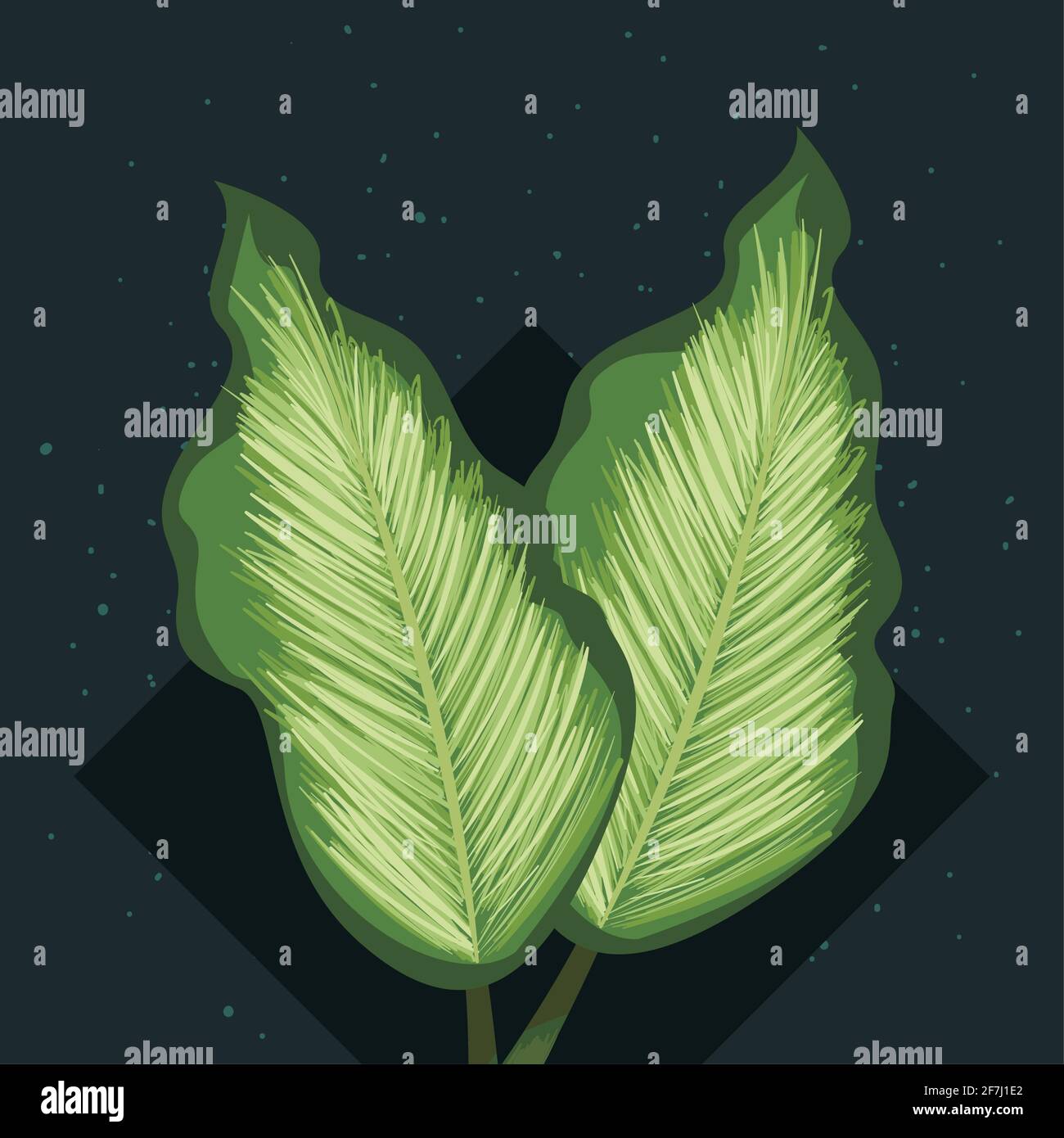 two green and plant leaves Stock Vector Image & Art - Alamy
