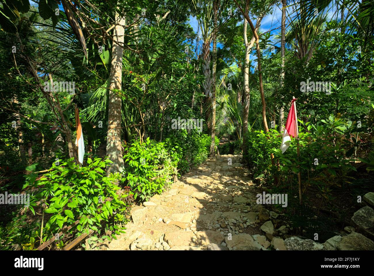 Timor timur hi-res stock photography and images - Alamy