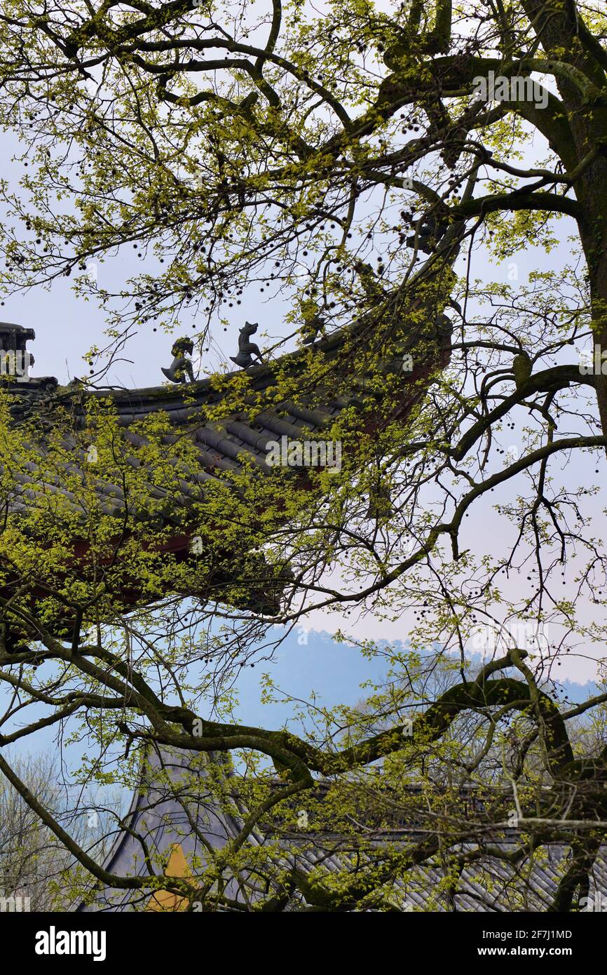 China triangle hi-res stock photography and images - Alamy