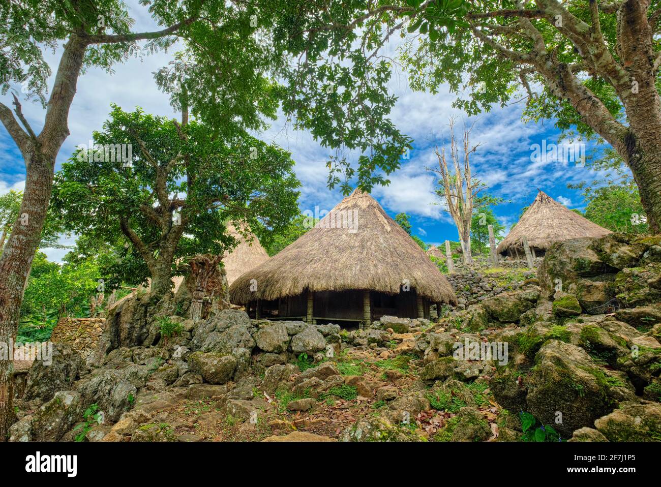 What Is West Timor Called