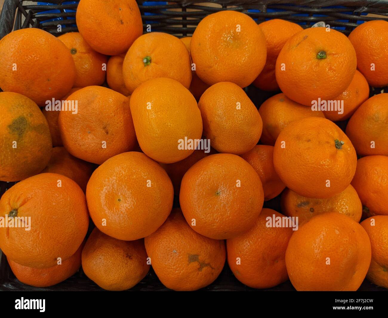 Various Oranges Available for Purchase Stock Photo - Alamy