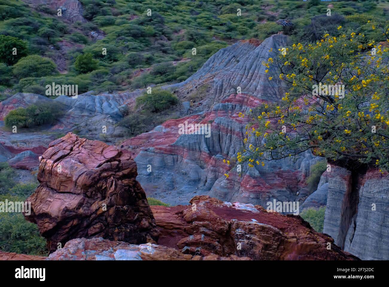 Sabu island hi-res stock photography and images - Alamy