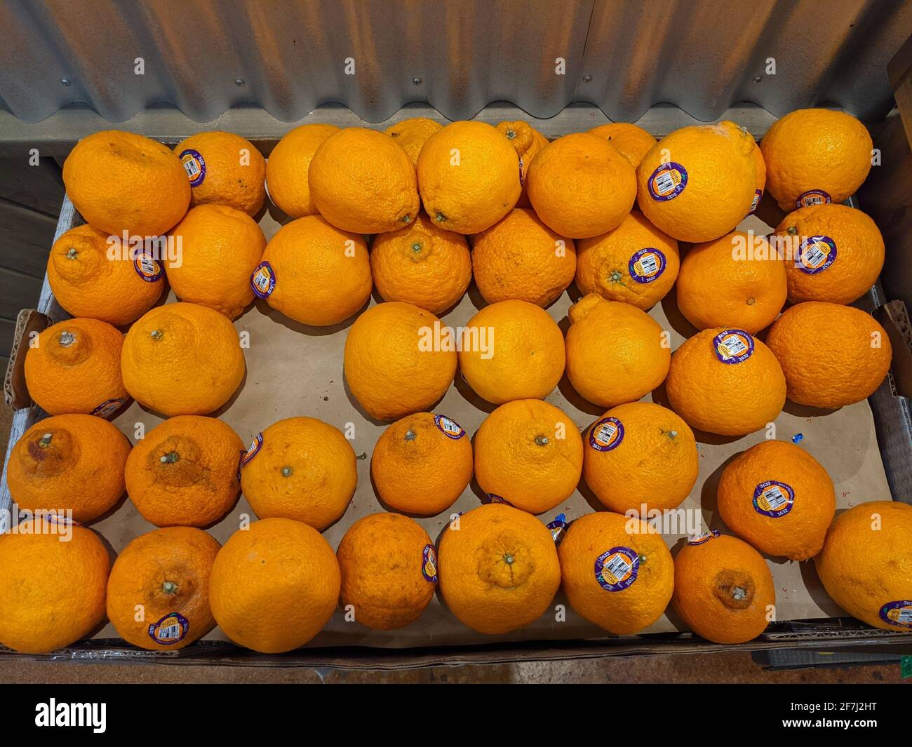 Various Oranges Available for Purchase Stock Photo - Alamy