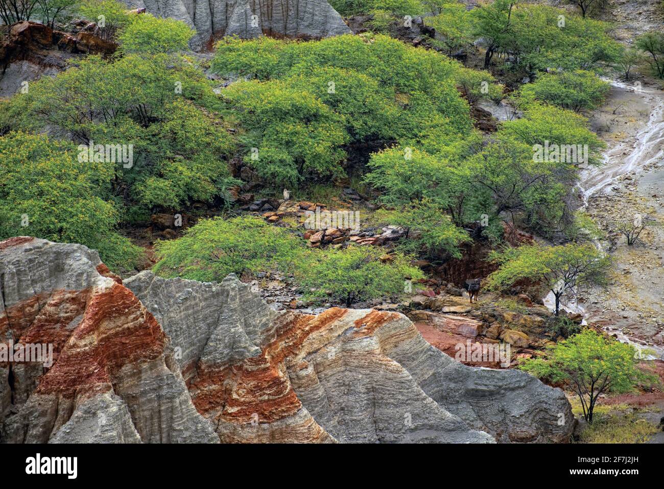 Sabu island hi-res stock photography and images - Alamy