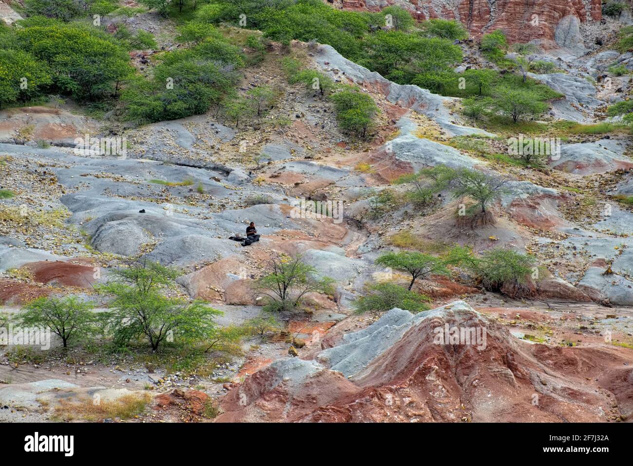 Sabu island hi-res stock photography and images - Alamy