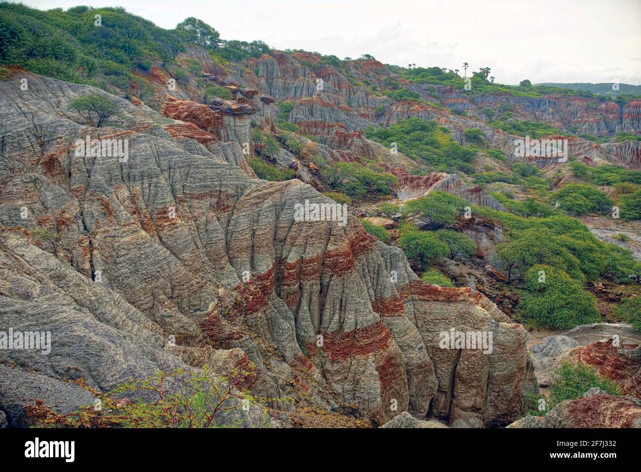 Sabu island hi-res stock photography and images - Alamy