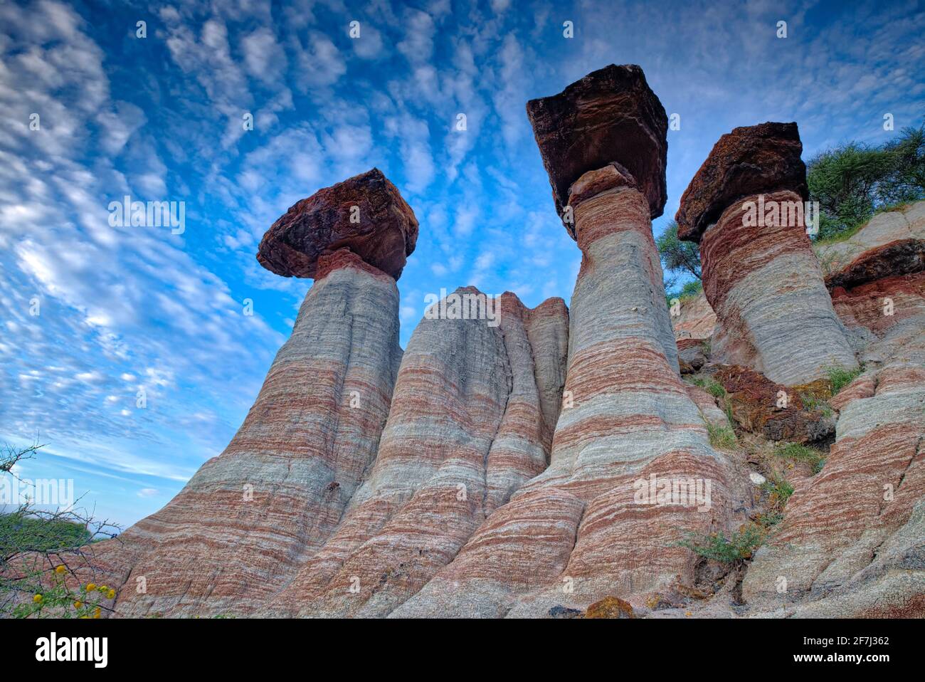 Sabu island hi-res stock photography and images - Alamy