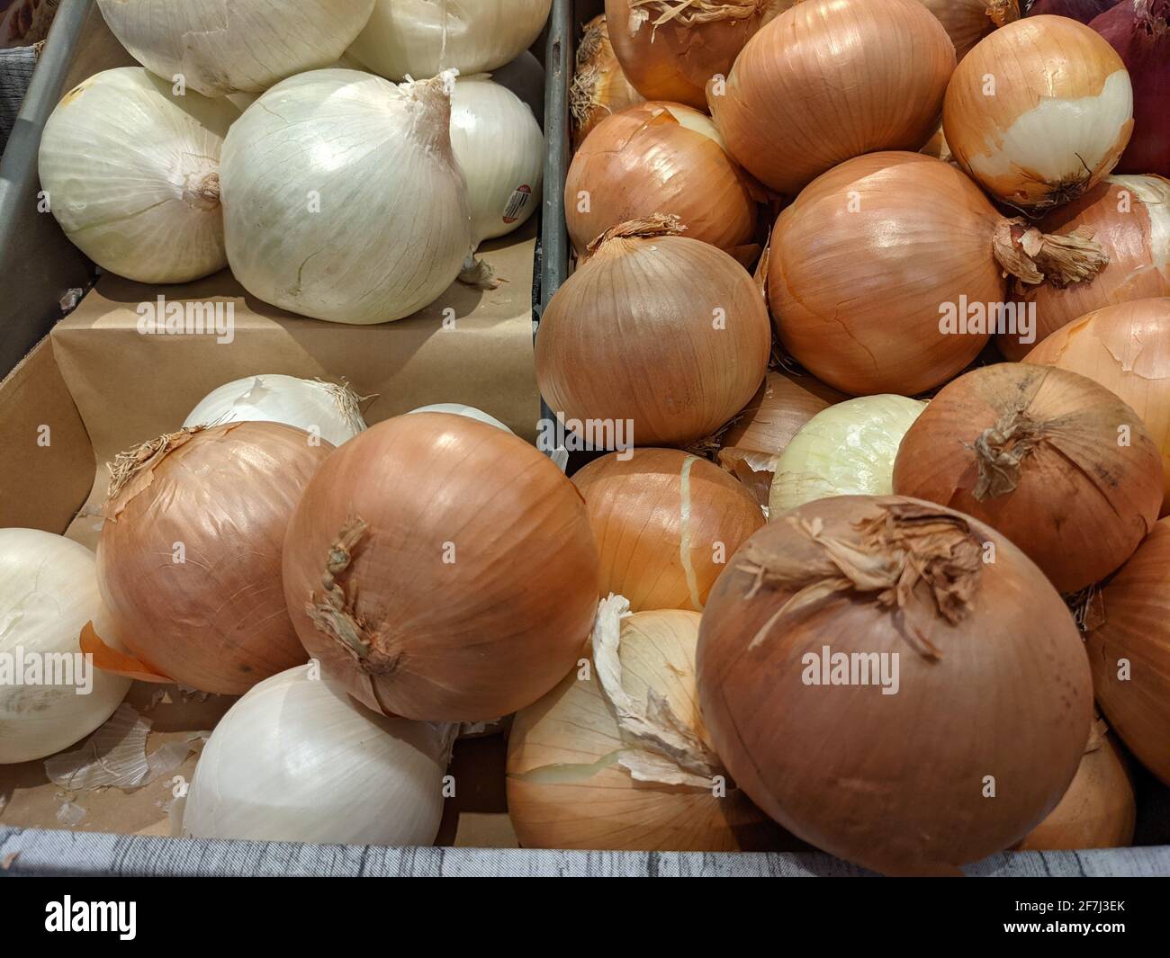 Various Delicious Onions Available for Purchase Stock Photo - Alamy