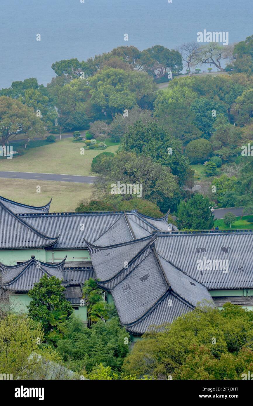 Old Chinese Zen style building and temple is sheltered by lots of huge ...