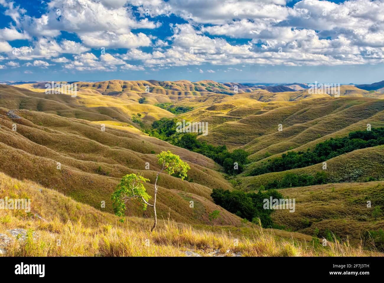 Bukit Wairinding, located in the eastern part of Sumba 25 Km from the ...