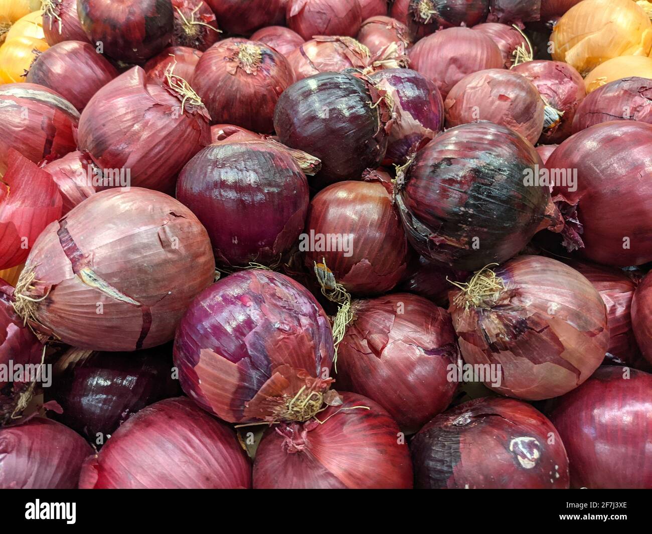 Various Delicious Onions Available for Purchase Stock Photo - Alamy