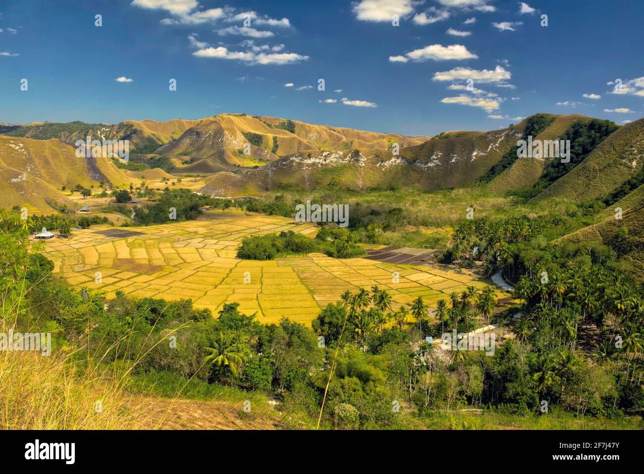 Going to explore TANGGEDU WATERFALL which is located in Tanggedu ...