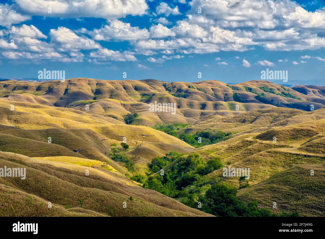 Bukit Wairinding, located in the eastern part of Sumba 25 Km from the ...