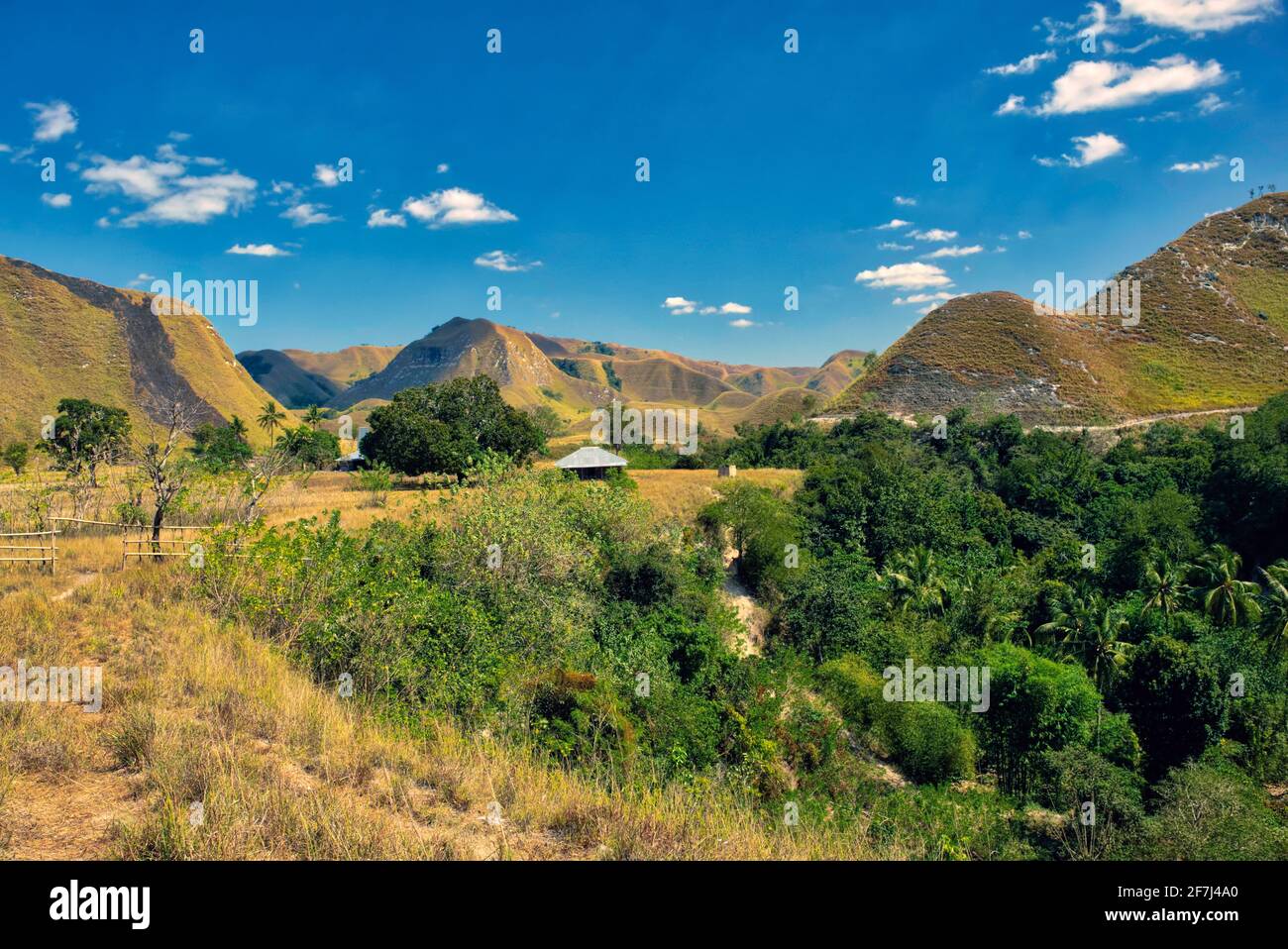 East sumba hi-res stock photography and images - Alamy