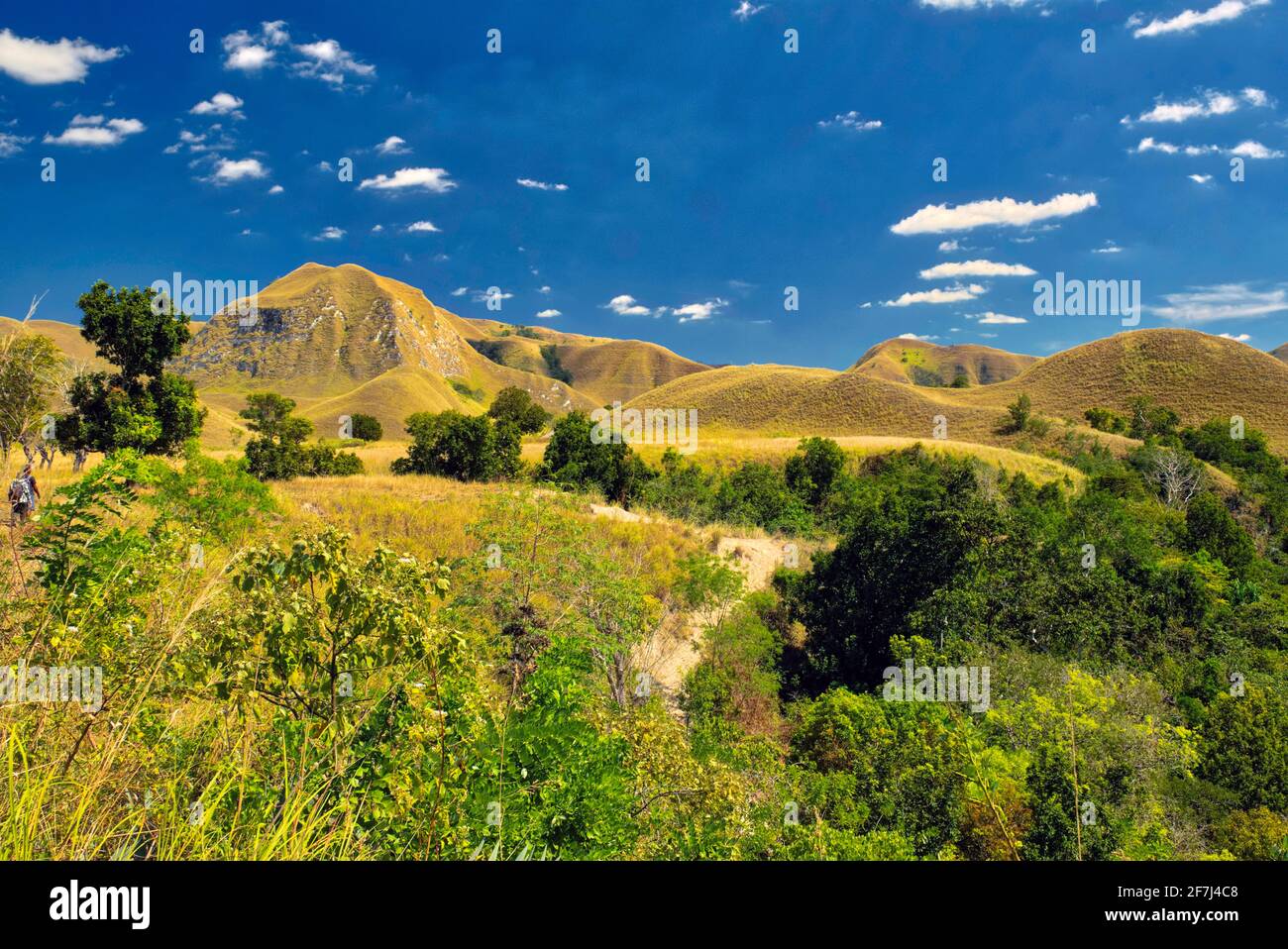 Going to explore TANGGEDU WATERFALL which is located in Tanggedu ...