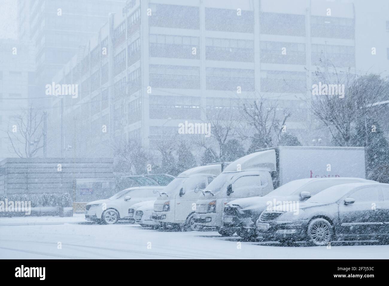 cars covered with snow in parking lot Stock Photo - Alamy