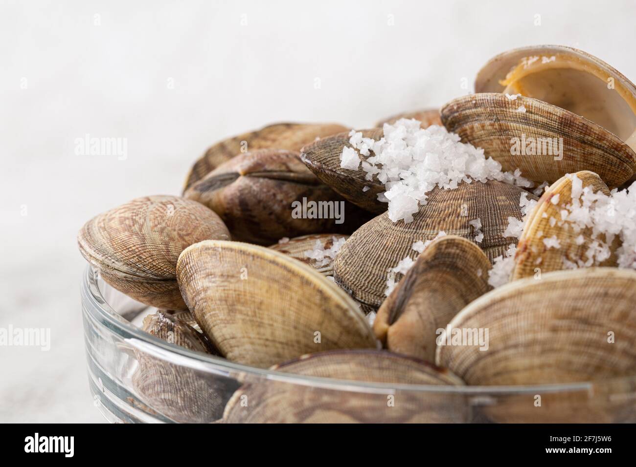 salted manila clam, white background Stock Photo - Alamy