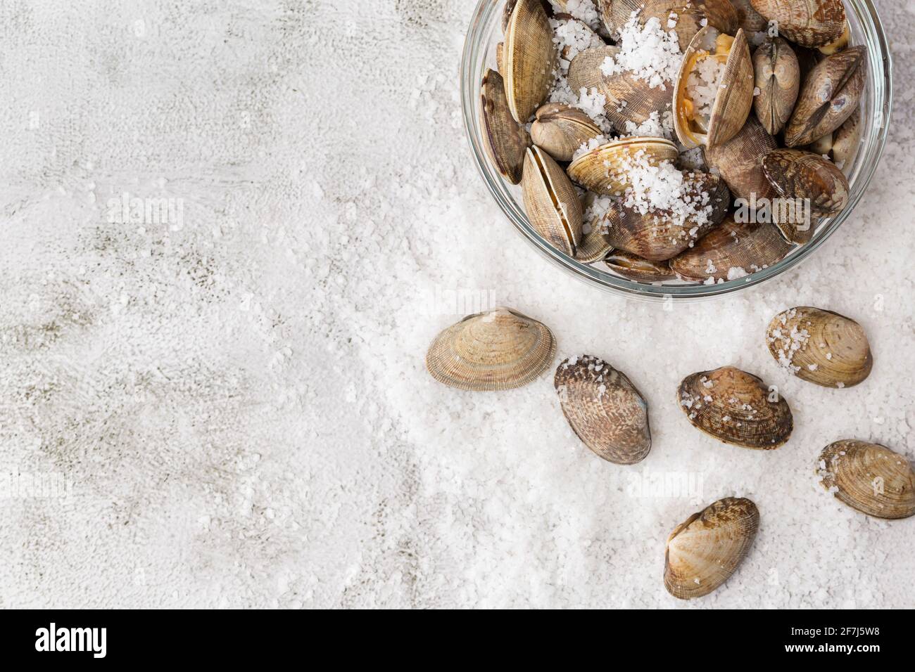 salted manila clam, white background Stock Photo - Alamy