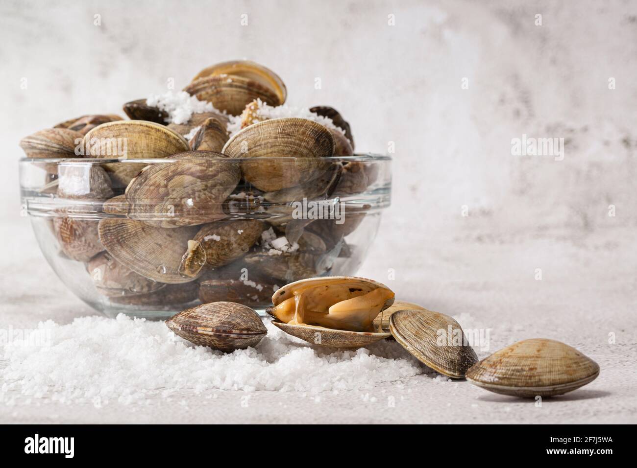 salted manila clam, white background Stock Photo - Alamy