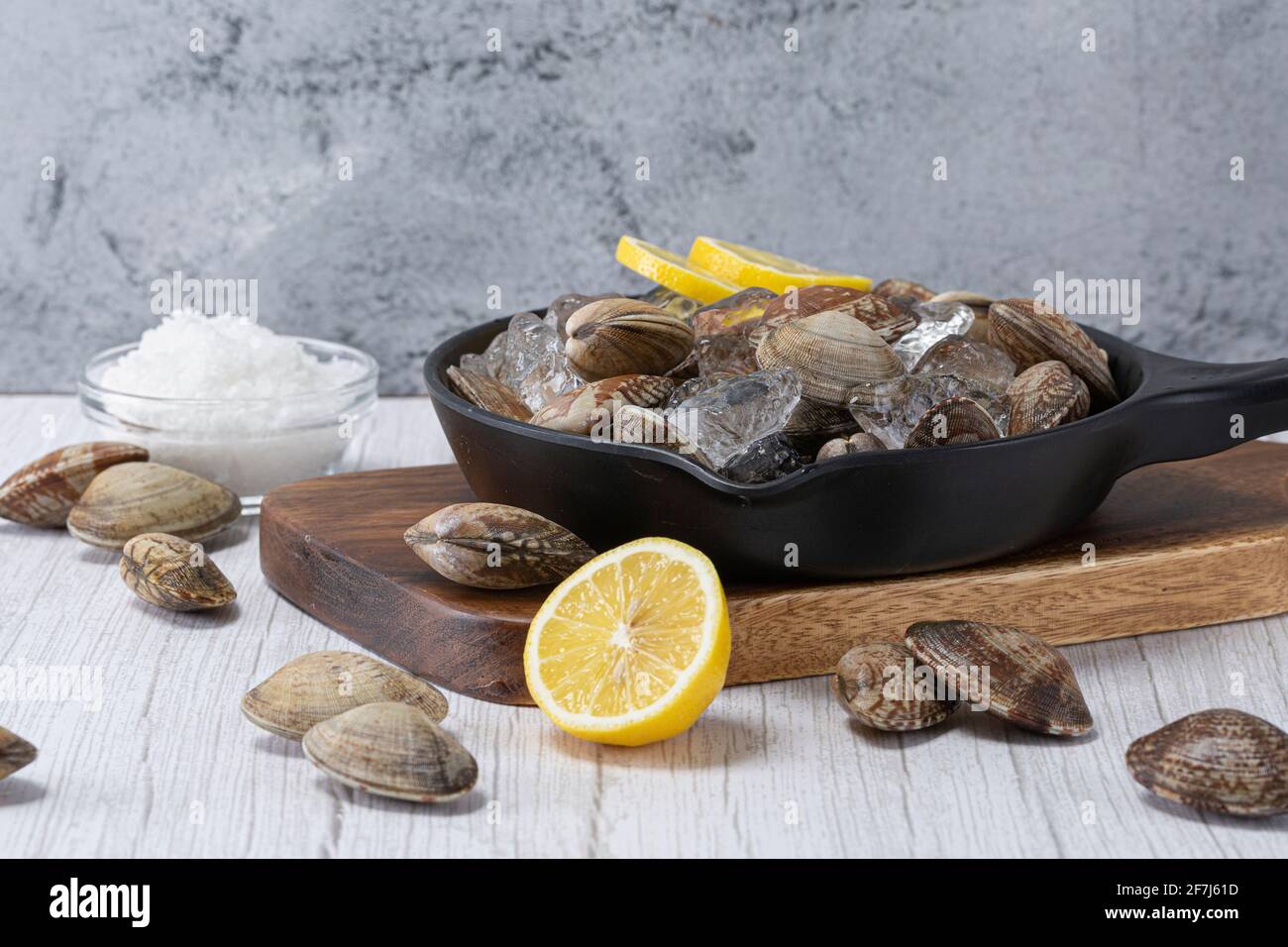 Fan Clams High Resolution Stock Photography and Images - Alamy