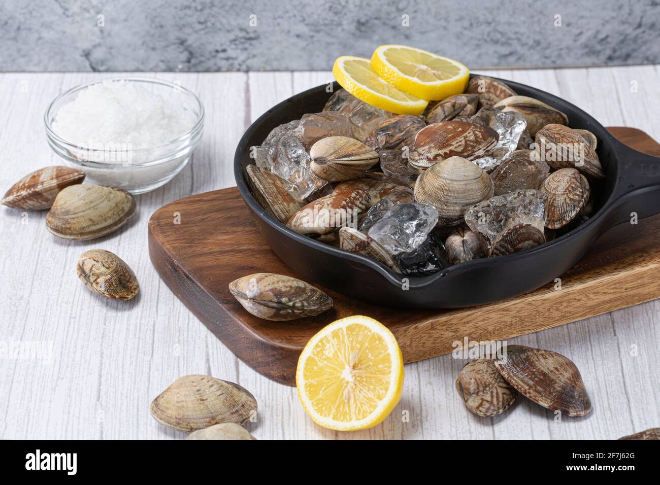 Fan Clams High Resolution Stock Photography and Images - Alamy